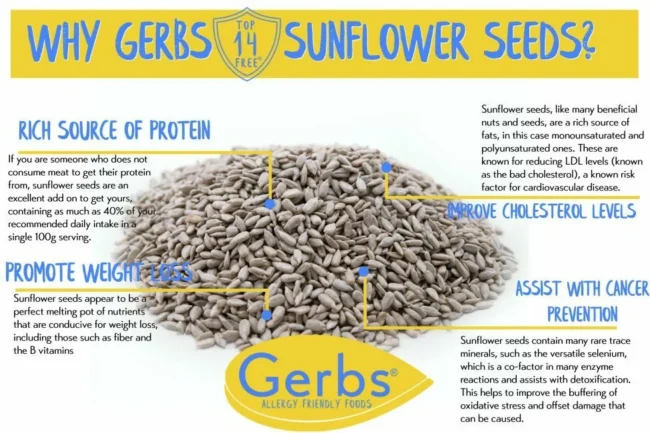 Unsalted Dry Roasted Sunflower Seed Kernels - Gerbs